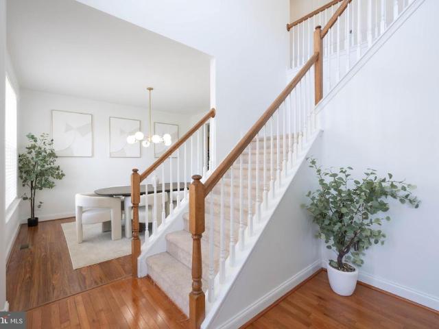 260 Staggerbush Road
