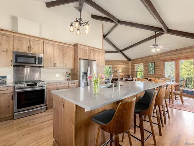 260 Pine Dr, Idaho Springs, CO 80452