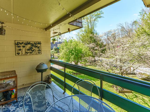 260 Roaring Fork Rd 220