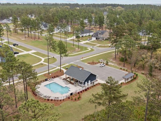 260 Twisted Pine Drive