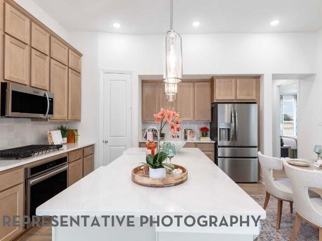26141 North Skylight Brook Circle