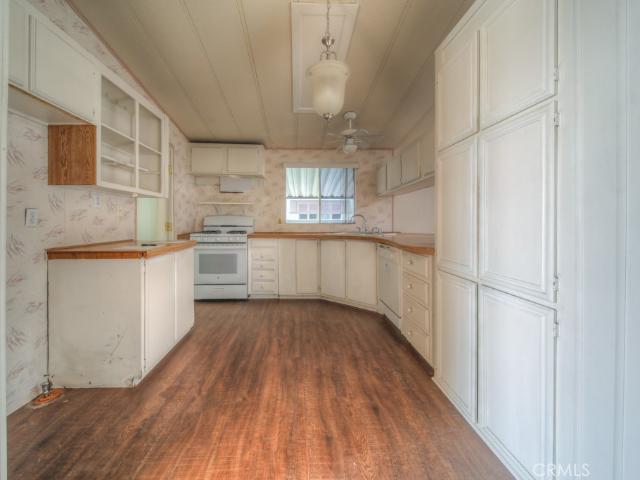 26151 Kentia Palm Drive