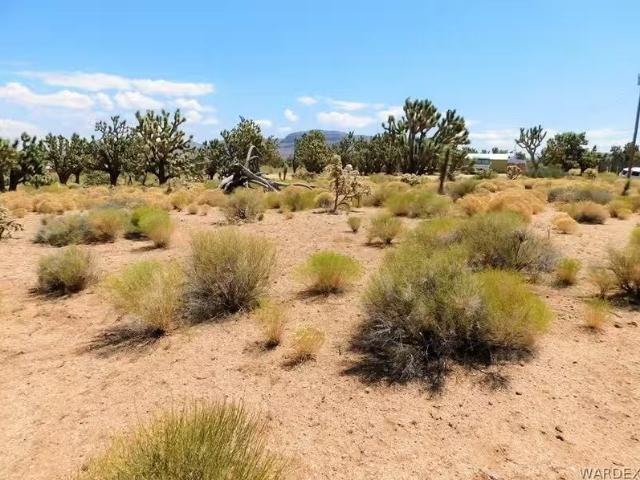 26165 N Pear Ave, Meadview, AZ 86444 MLS 015482