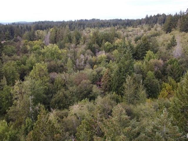 2616 Schirm Rd NW, Olympia, WA 98502