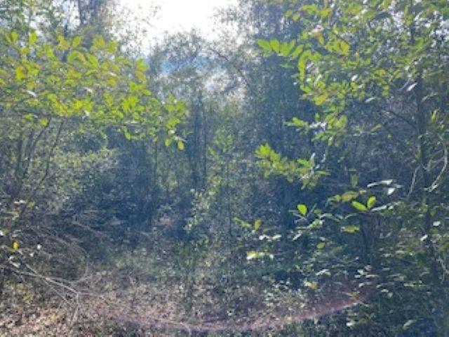 2619 Oak Ridge Rd W, Tallahassee, FL 32305 | MLS #395607