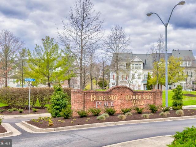 2610 Chancellor Court