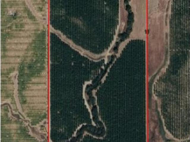 26111 E Highway 26, Linden, CA 95236