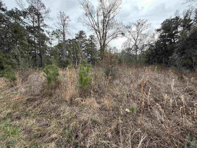 26126 Cloverland Rd, Lacombe, LA 70445