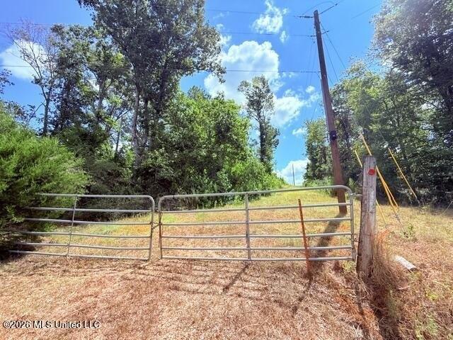 261 E Salem Rd, Tylertown, MS 39667