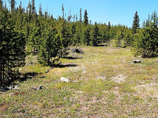261 Kanduch Rd, Anaconda, MT 59711