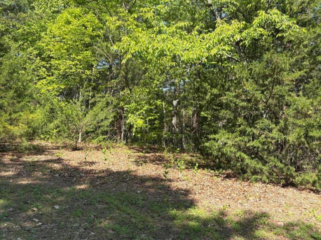 261 Mountain Retreat Rd