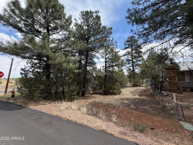 261 S 1st Dr, Unit 4, Show Low, AZ 85901 | MLS #7018 | Compass