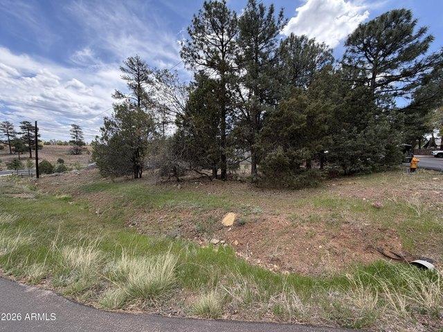 261 S 1st Dr Unit 4, Show Low, AZ 85901