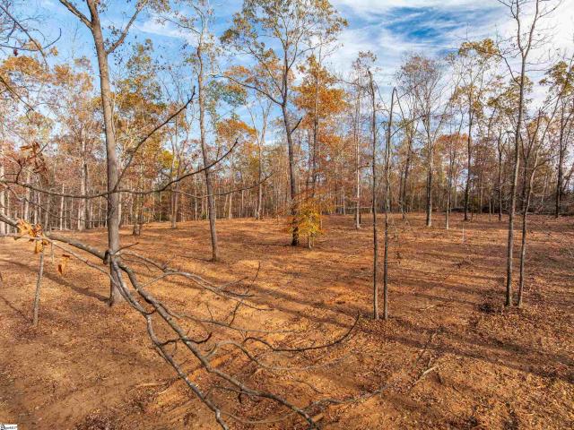 261 W Chapman Road # Lot 10