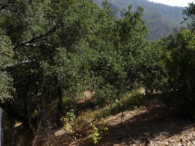 26241 Idlewild Way, Malibu, CA 90265
