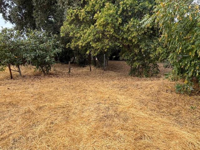 2624 Elm St, Live Oak, CA 95953 | MLS #225123 | Compass