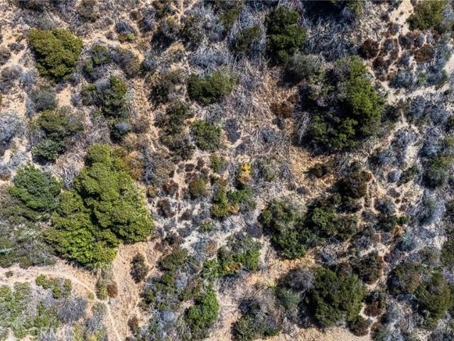 2625 N Dominion Ln, Los Angeles, CA 90046 | MLS #SB25248 | Compass