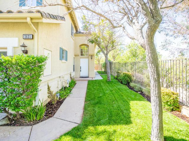 2625 Dorado Court