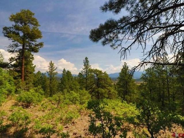 2626 S Pagosa Blvd, Pagosa Springs, CO 81147