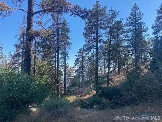26281 Paramount Drive, Tehachapi, CA 93561 646039915