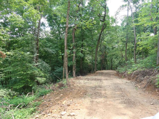 2628 Clay Lick Rd, Whites Creek, TN 37189 | MLS #3158