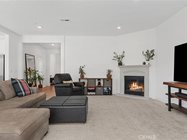 26207 Silver Birch