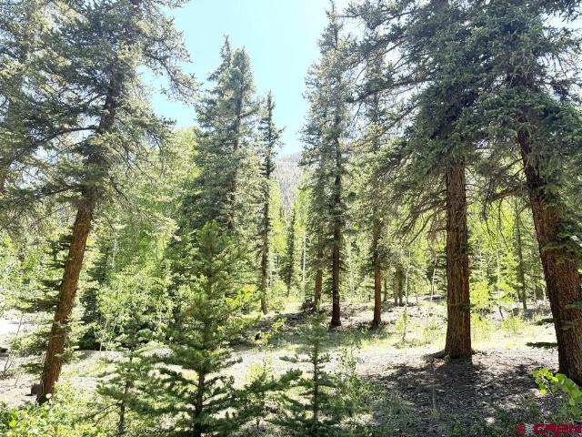 2621 Silver Coin Ln Lake, City, CO 81235 | MLS #825891