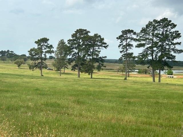 2622 Lakeland Dr Lot 207, Hillister, TX 77624