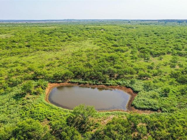 262.71 Acres Fm 1191, Jacksboro, TX 76458