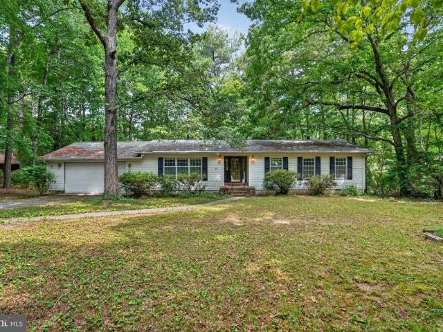 262 Elkins Lane