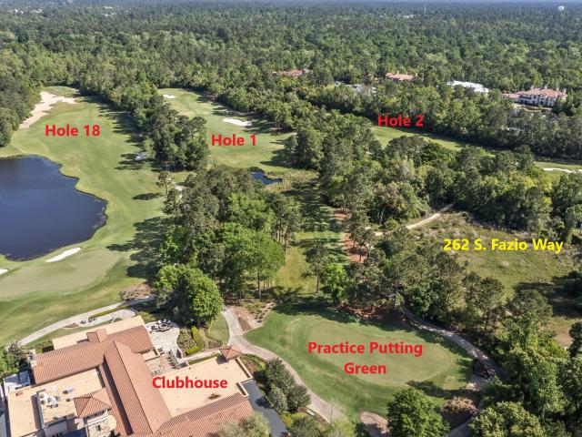 262 S Fazio Way, The Woodlands, TX 77389 | MLS #10369