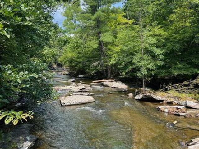 262 Rudolph Weir Junior Rd, Cairo, NY 12413