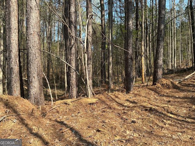 262 White Creek Loop