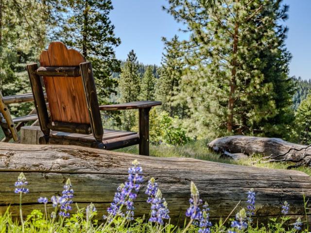 26340 Cedar Ave, Pioneer, CA 95666 | MLS #226059