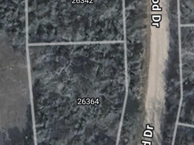 26342 Deerwood Drive