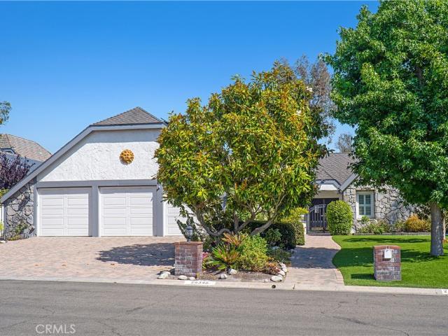 26346 Sorrell