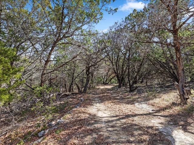 2633 Jackson Creek Rd, Medina, TX 78055 | MLS #1951 | Compass