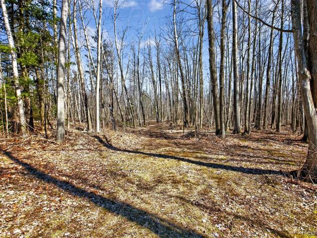 2633 S Stevens Road