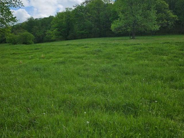 263 Club Springs Rd, Elmwood, TN 38560 | MLS #3120
