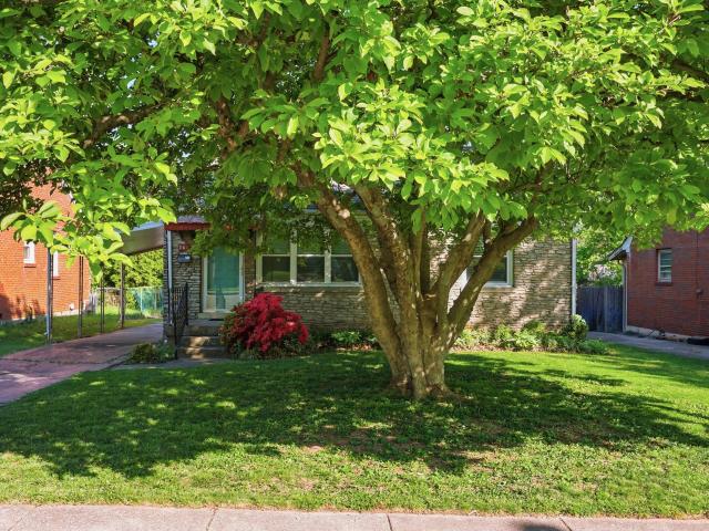 263 Bassett Avenue