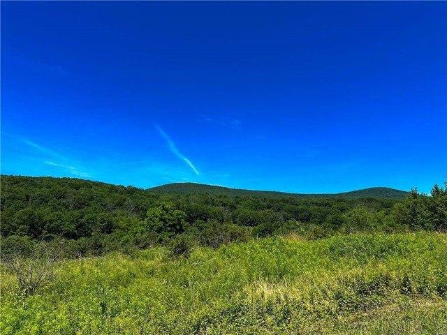 263 Schuman Rd, Roxbury, NY 12474