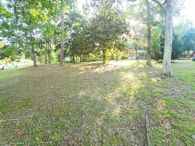 263 Squirrel Drive
