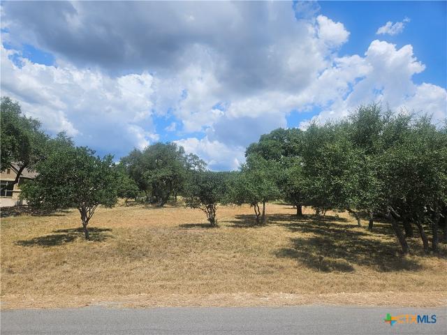 263 Paradise Hills, New Braunfels, TX 78132 | MLS #611004