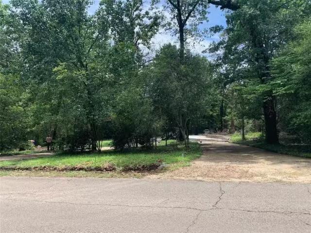 263 W Holly Trl, Holly Lake Ranch, TX 75765