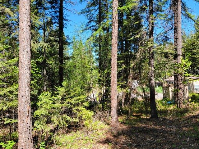263 Twin Lakes Rd, Inchelium, WA 99138