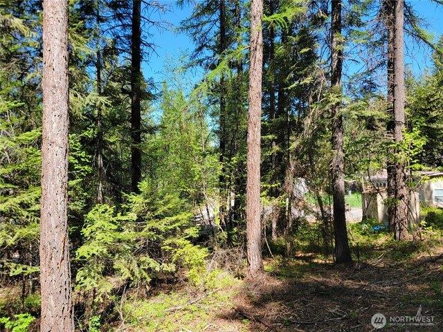 263 Twin Lakes Rd Lots 35 & 36, Inchelium, WA 99138