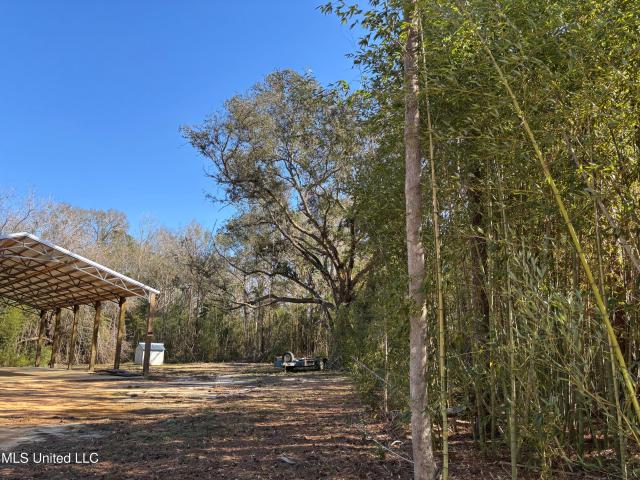 26460 Billy Hinton Rd, Lucedale, MS 39452 | MLS #4137 | Compass