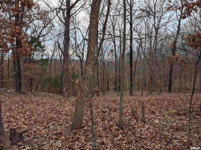 2643 dogwood road
