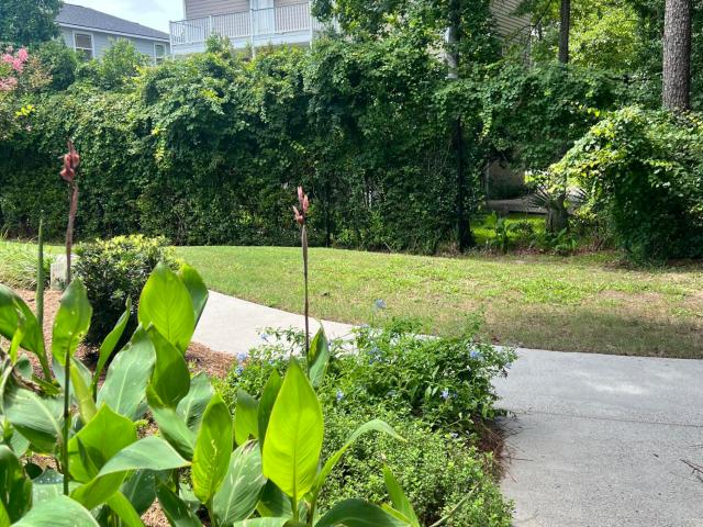 264 Alexandra Drive Unit 10