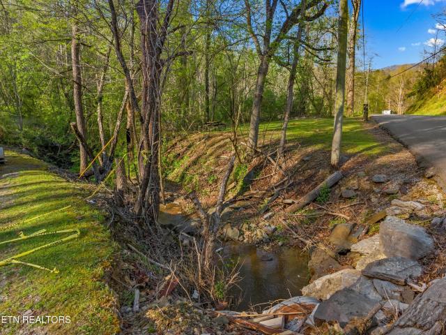 264 Beech Branch Rd